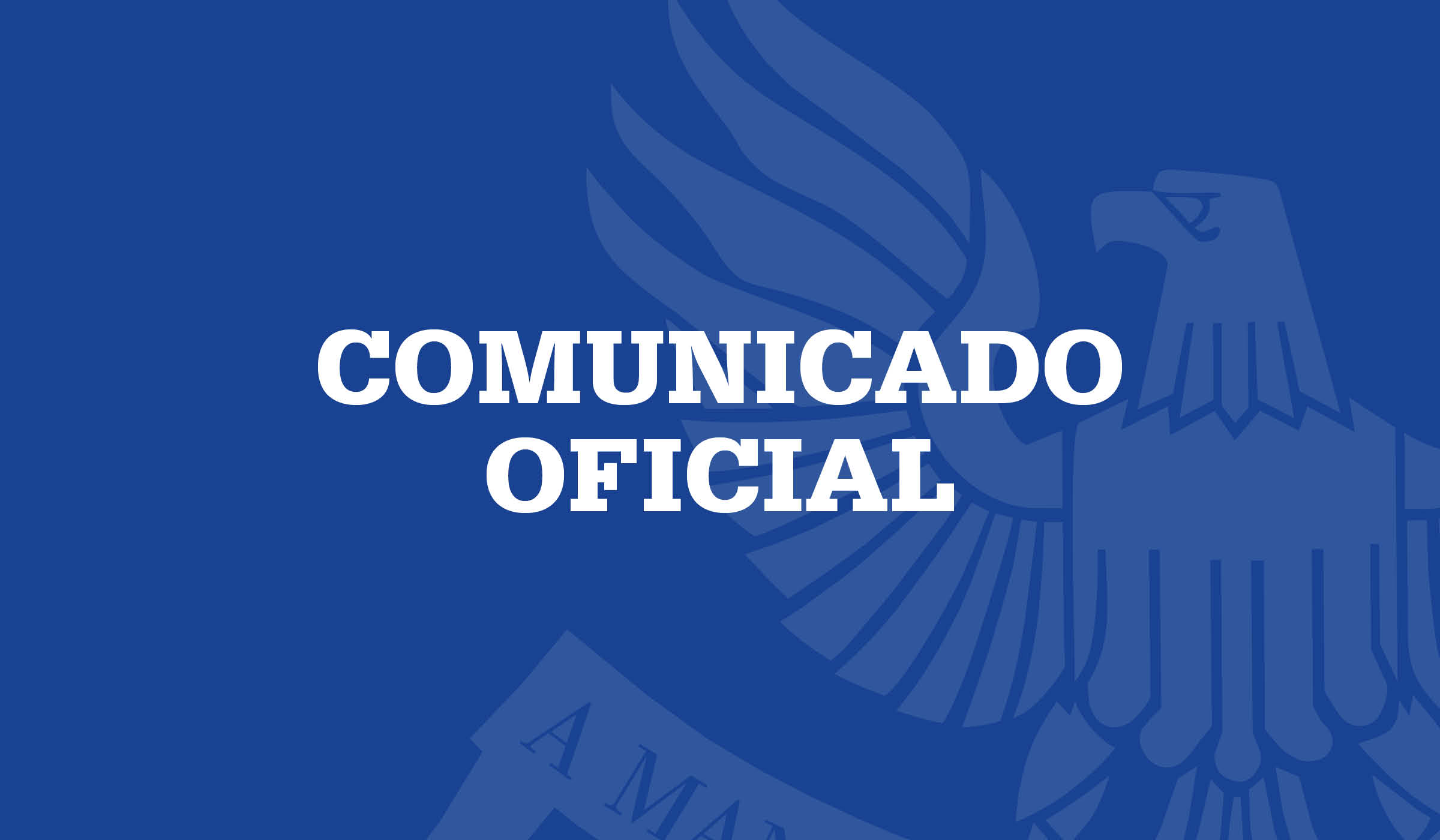 Protocolo Escolar – Comunicado Oficial N°5 / 2024 | Boston College La ...